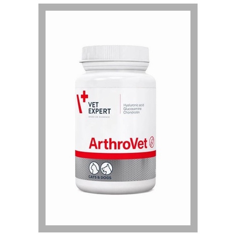ARTHROVET preparat na stawy dla psów i kotów 90 tabletek VetExpert | Shopee Polska