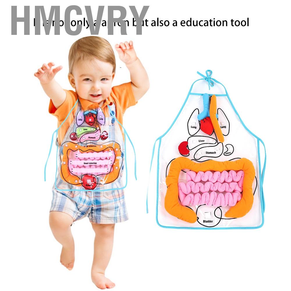 Hmcvry Teaching Apron Toy Preschool Learning PVC Anatomy Science ...